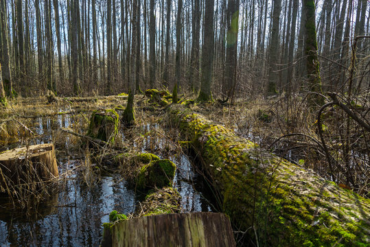 Worest Images – Browse 37 Stock Photos, Vectors, and Video | Adobe Stock