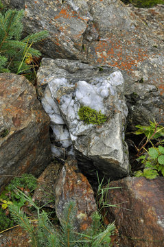 รูปภาพFelsstein – เลือกดูภาพถ่ายสต็อก เวกเตอร์ และวิดีโอ277 | Adobe Stock