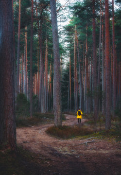 "Enjoy Forest"-Bilder: Stock-Fotos & -Videos. | Adobe Stock