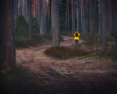 "Enjoy Forest"-Bilder: Stock-Fotos & -Videos. | Adobe Stock
