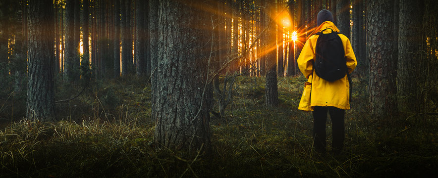 "Enjoy Forest"-Bilder: Stock-Fotos & -Videos. | Adobe Stock