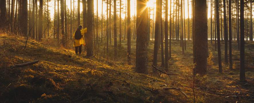 "Enjoy Forest"-Bilder: Stock-Fotos & -Videos. | Adobe Stock