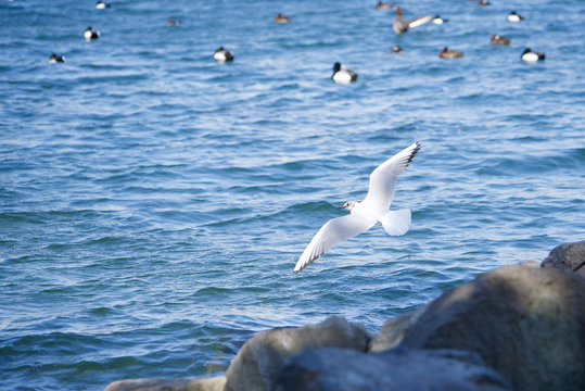 「長居する」の写真素材 | 1,127,994件の無料イラスト画像 | Adobe Stock