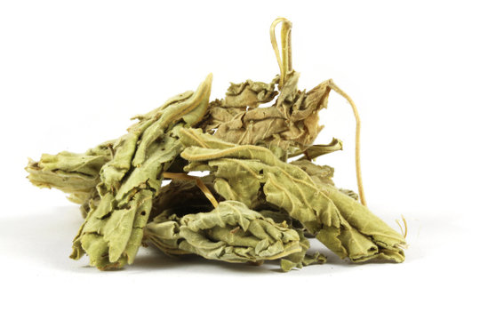 รูปภาพFolium – เลือกดูภาพถ่ายสต็อก เวกเตอร์ และวิดีโอ3,044 | Adobe Stock