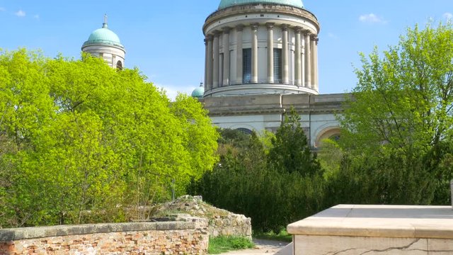 Primatial Images – Browse 579 Stock Photos, Vectors, and Video | Adobe ...