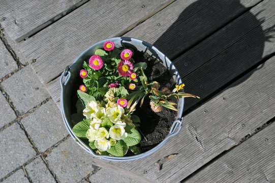 รูปภาพBlechtopf – เลือกดูภาพถ่ายสต็อก เวกเตอร์ และวิดีโอ68 | Adobe Stock