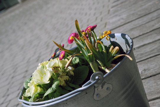 Blechtopf Images – Browse 63 Stock Photos, Vectors, and Video | Adobe Stock