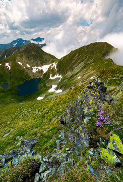 Fagarasan Images – Browse 38 Stock Photos, Vectors, and Video | Adobe Stock