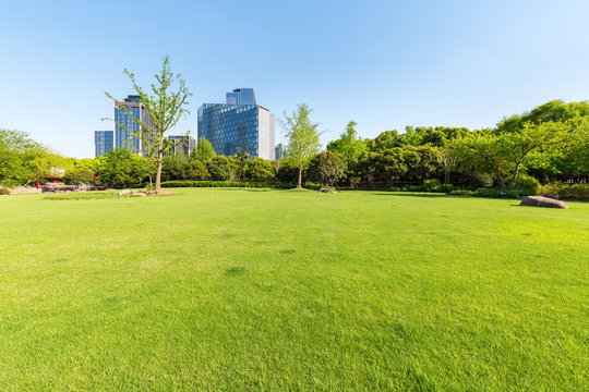 Free Park Images – Browse 38,735 Free Stock Photos, Vectors, and Video ...