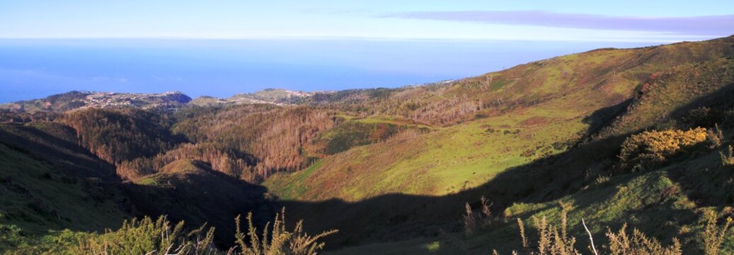 Makaronesien Bilder – Durchsuchen 6,861 Archivfotos, Vektorgrafiken und ...