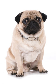 รูปภาพAugenprobleme – เลือกดูภาพถ่ายสต็อก เวกเตอร์ และวิดีโอ16 | Adobe ...