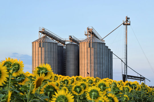 รูปภาพSilo – เลือกดูภาพถ่ายสต็อก เวกเตอร์ และวิดีโอ77,761 | Adobe Stock