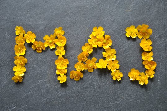 Maj Images – Browse 4,633 Stock Photos, Vectors, and Video | Adobe Stock Maj Images – Browse 4,633 Stock Photos, Vectors, and Video | Adobe Stock