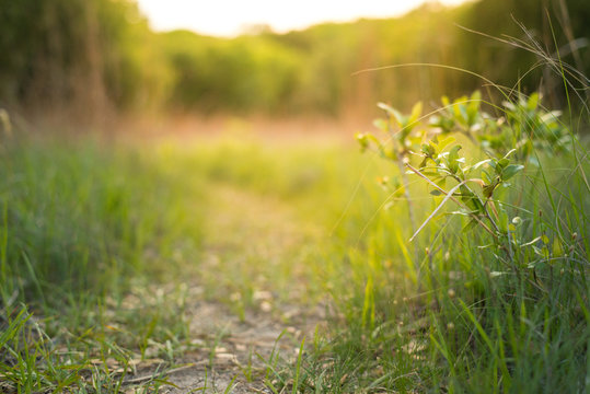 "Wide Open Spaces" Images – Browse 2,087 Stock Photos, Vectors, and ...