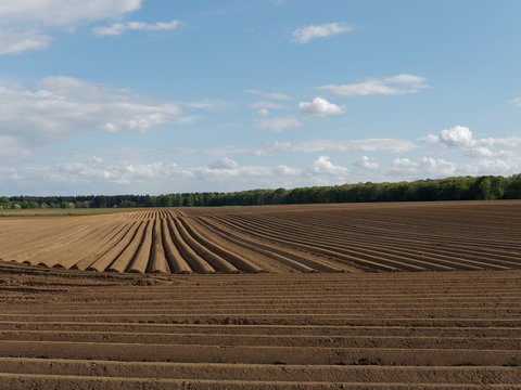 Ackerfurchen bilder – Bläddra bland 396 stockfoton, vektorer och videor ...