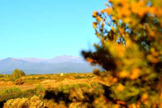 「Maulina」の写真素材 | 1件の無料イラスト画像 | Adobe Stock