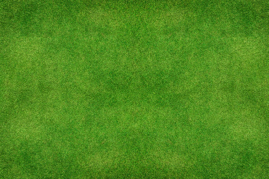 Repeating Grass Texture Images – Browse 316,643 Stock Photos, Vectors ...