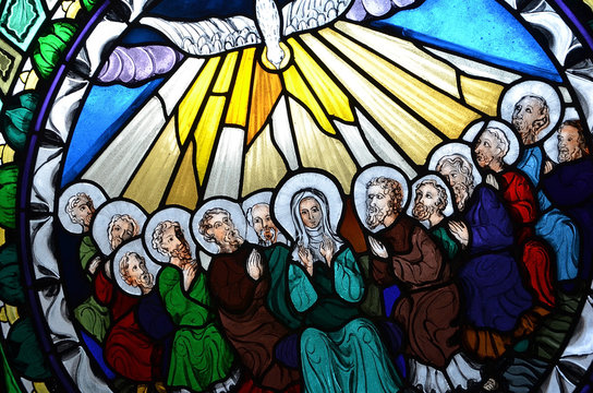 Pinse Billeder – Gennemse 31,357 stockfotos, vektorer og videoer ...