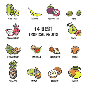 Tropical Fruits Pictures And Names