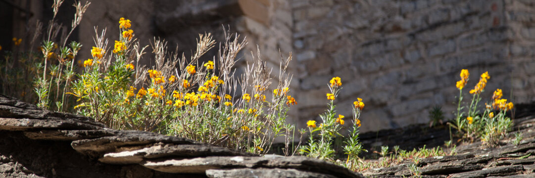 Imágenes de Lauzes: descubre bancos de fotos, ilustraciones, vectores y ...