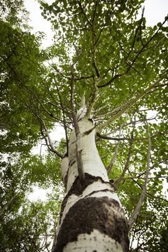 Marleah photos, images, assets | Adobe Stock