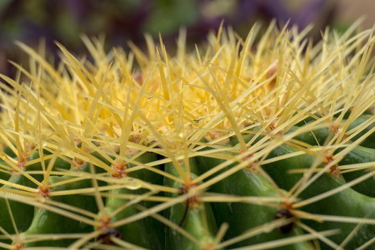 Wehtun-Bilder: Stock-Fotos & -Videos. | Adobe Stock