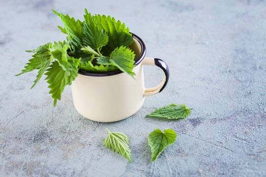 Brennesseltee Bilder – Durchsuchen 2,694 Archivfotos, Vektorgrafiken ...