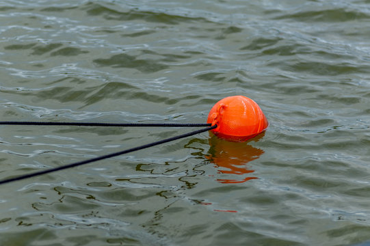 Bojka Images – Browse 35 Stock Photos, Vectors, and Video | Adobe Stock