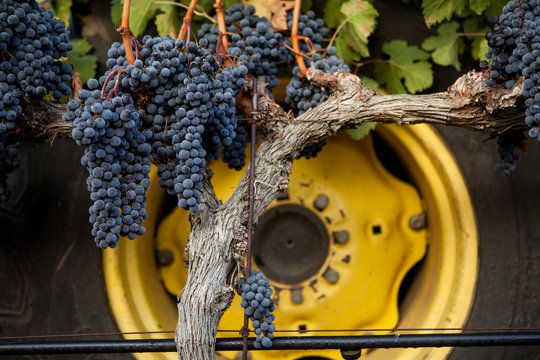 "Tractor Wheel" Images – Browse 187 Stock Photos, Vectors, and Video ...