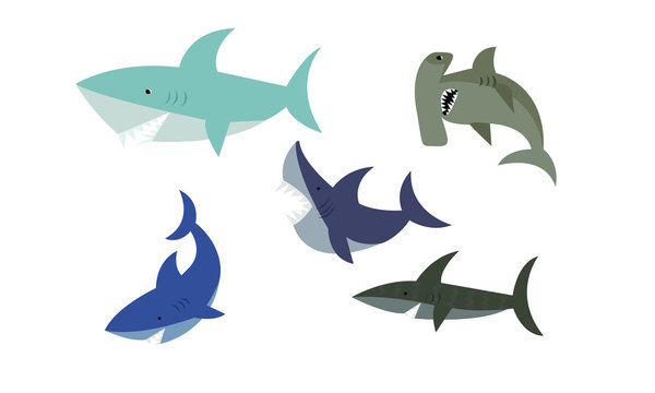Tiger Shark Clip Art