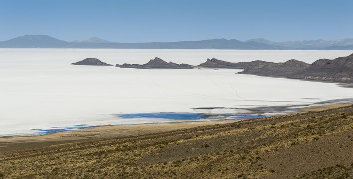 Coquesa - Images et vidéos libres de droits | Adobe Stock