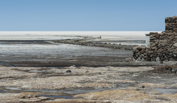 Coquesa - Images et vidéos libres de droits | Adobe Stock
