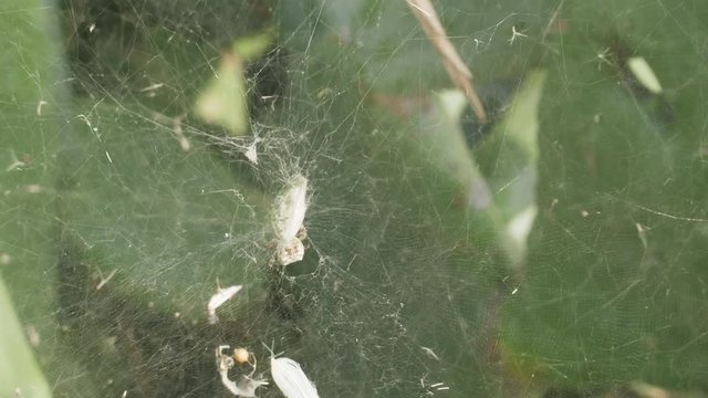 รูปภาพReuber – เลือกดูภาพถ่ายสต็อก เวกเตอร์ และวิดีโอ18 | Adobe Stock