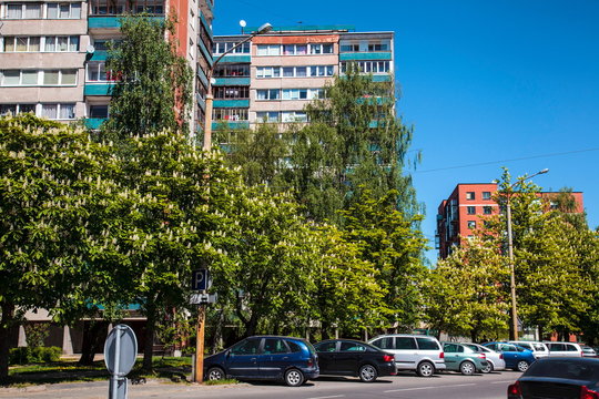 รูปภาพKaroliniskes – เลือกดูภาพถ่ายสต็อก เวกเตอร์ และวิดีโอ456 | Adobe ...