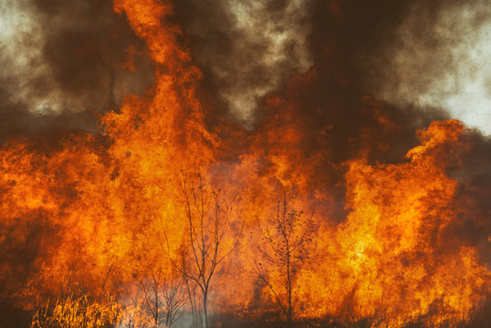 รูปภาพRaging – เลือกดูภาพถ่ายสต็อก เวกเตอร์ และวิดีโอ869,925 | Adobe Stock