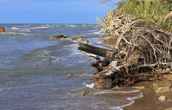 Ontika Images – Browse 59 Stock Photos, Vectors, and Video | Adobe Stock