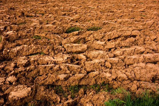 Ockerfarben bilder – Bläddra bland 301 stockfoton, vektorer och videor ...