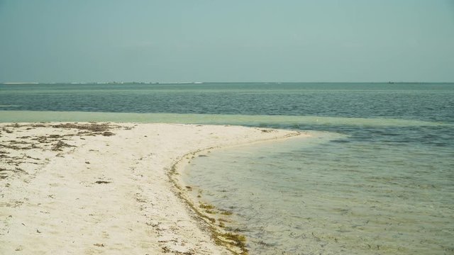 Tondol Images – Browse 34 Stock Photos, Vectors, and Video | Adobe Stock