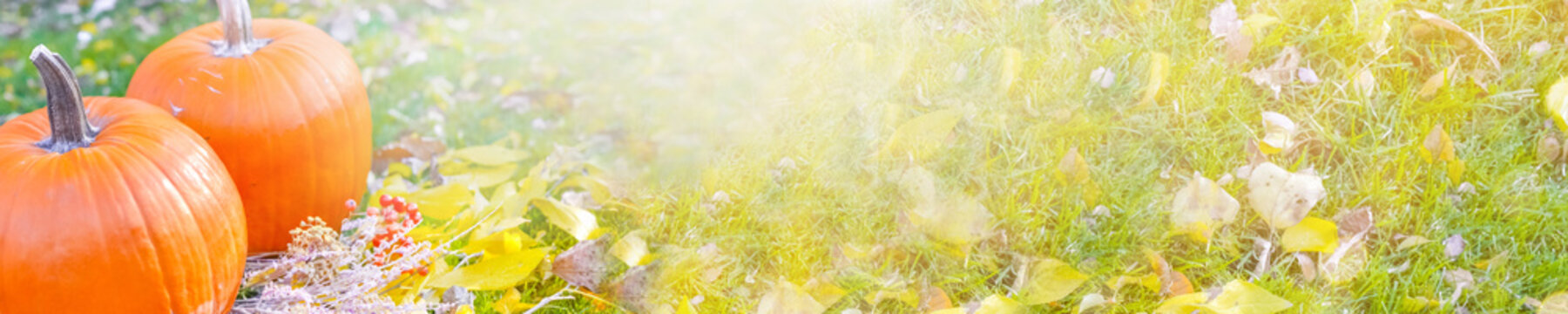 Pumpkin Header Images – Browse 8,609 Stock Photos, Vectors, and Video ...