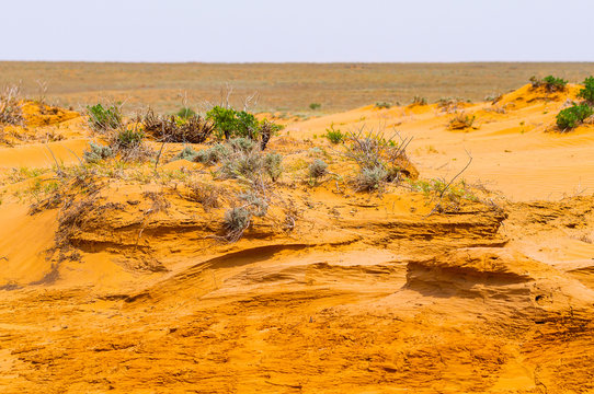 Semidesert Images – Browse 22,708 Stock Photos, Vectors, and Video ...