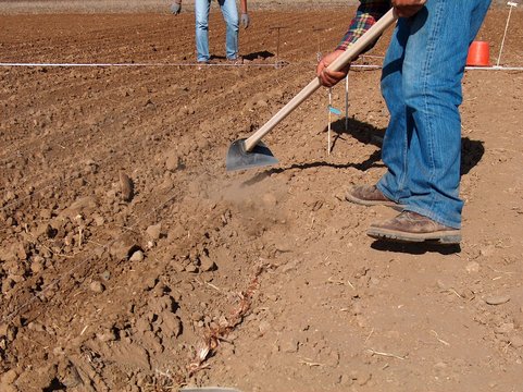 Faticare Bilder – Durchsuchen 385 Archivfotos, Vektorgrafiken und ...