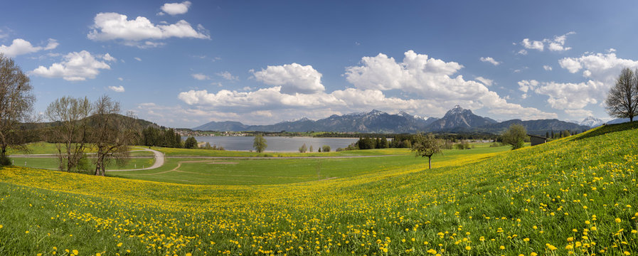 37,298 BESTE Almwiese BILDER, STOCK-FOTOS & -VEKTORGRAFIKEN | Adobe Stock