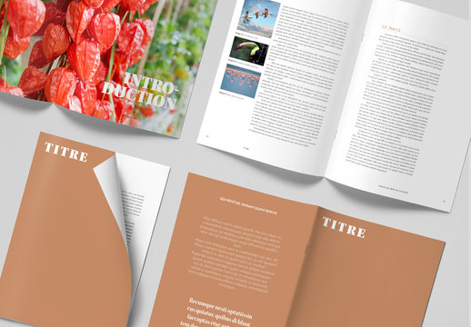 "Mise En Page" Images – Browse 1,217 Stock Photos, Vectors, and Video ...