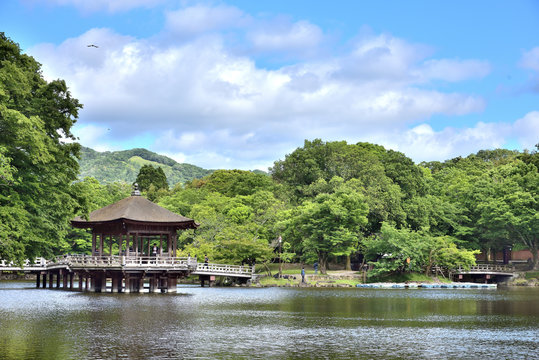 Nara-Koen Images – Browse 193 Stock Photos, Vectors, and Video | Adobe Stock