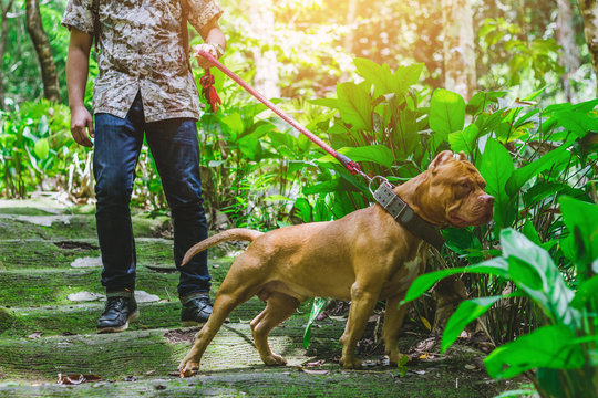 รูปภาพWolking – เลือกดูภาพถ่ายสต็อก เวกเตอร์ และวิดีโอ492 | Adobe Stock