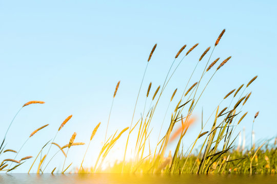 ..Heuschnupfen Images – Browse 5,870 Stock Photos, Vectors, and Video ...