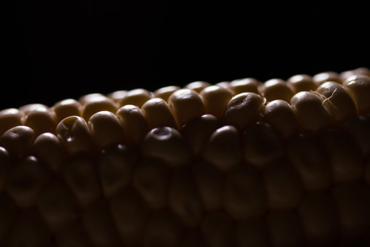 「Genmanipuliert」の画像 - 636 件の Stock 写真、ベクターおよびビデオ | Adobe Stock