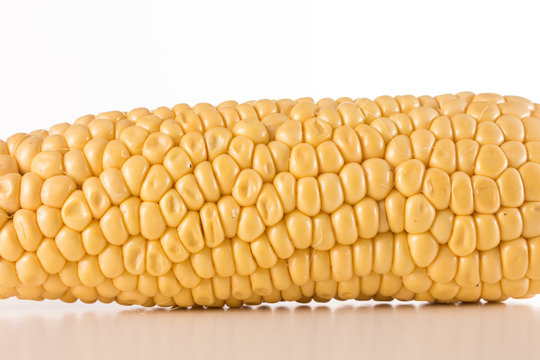 「Genmanipuliert」の画像 - 636 件の Stock 写真、ベクターおよびビデオ | Adobe Stock