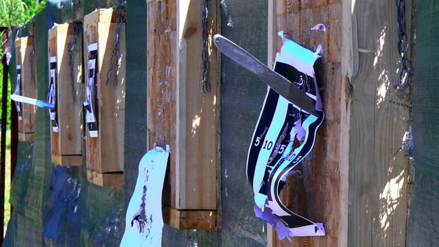 Throwing Knives Images – Browse 8,727 Stock Photos, Vectors, and Video ...
