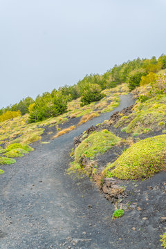 Lopolith Images – Browse 53 Stock Photos, Vectors, and Video | Adobe Stock